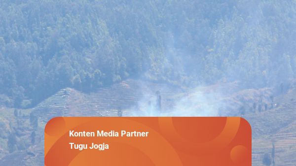 Kebakaran Hutan Di Gunung Sumbing Berhasil Dipadamkan